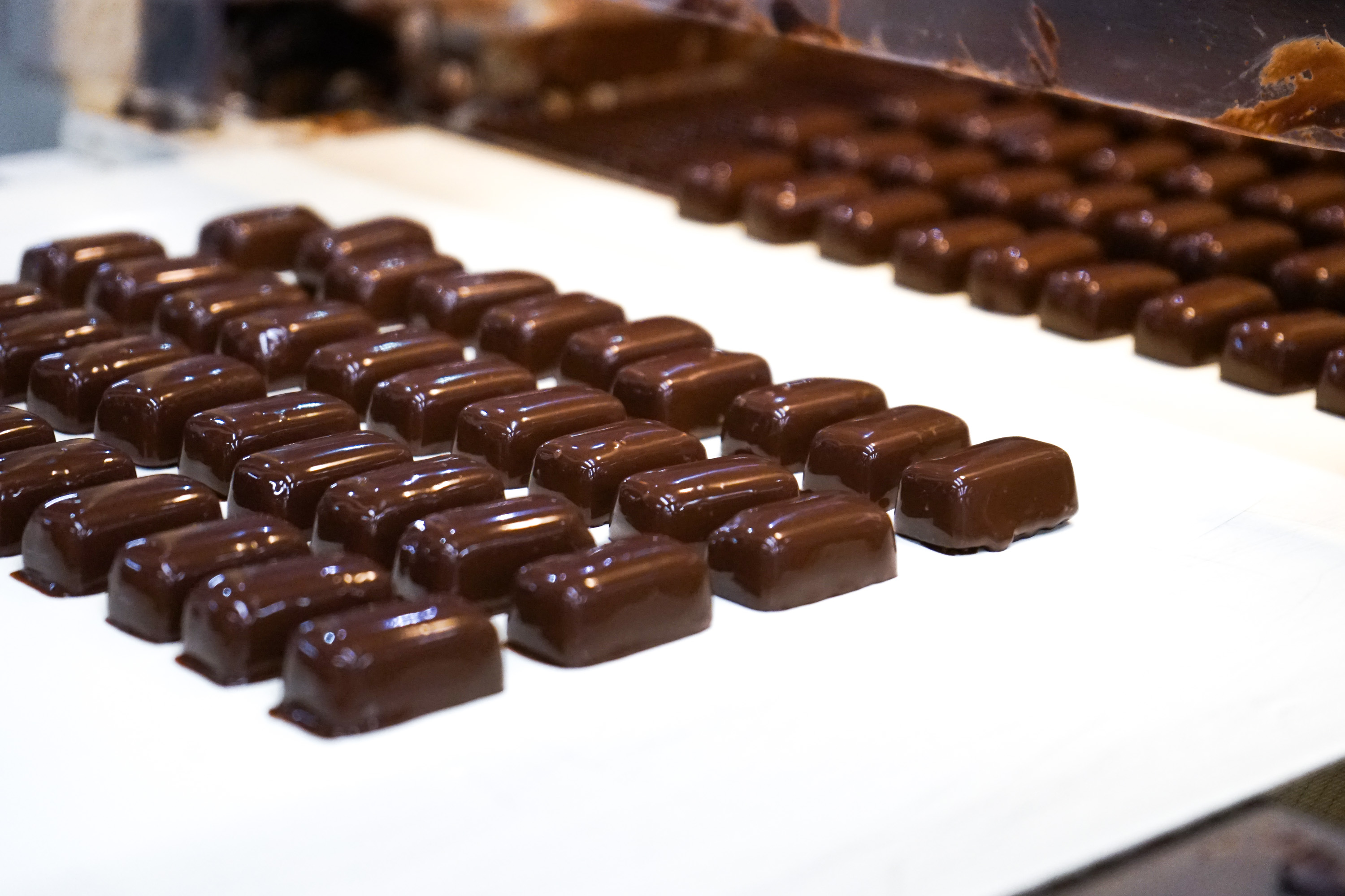Une experience immersive dans une usine de chocolat | Ici Seattle